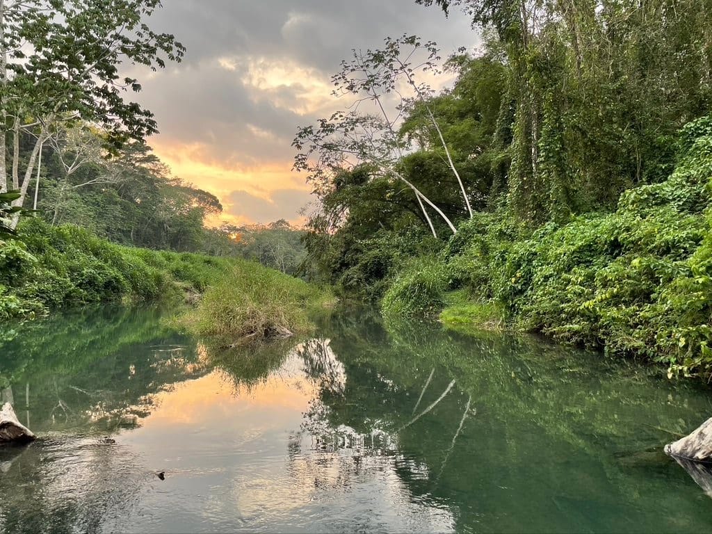 Climate Change - Maya Mountain Research Farm